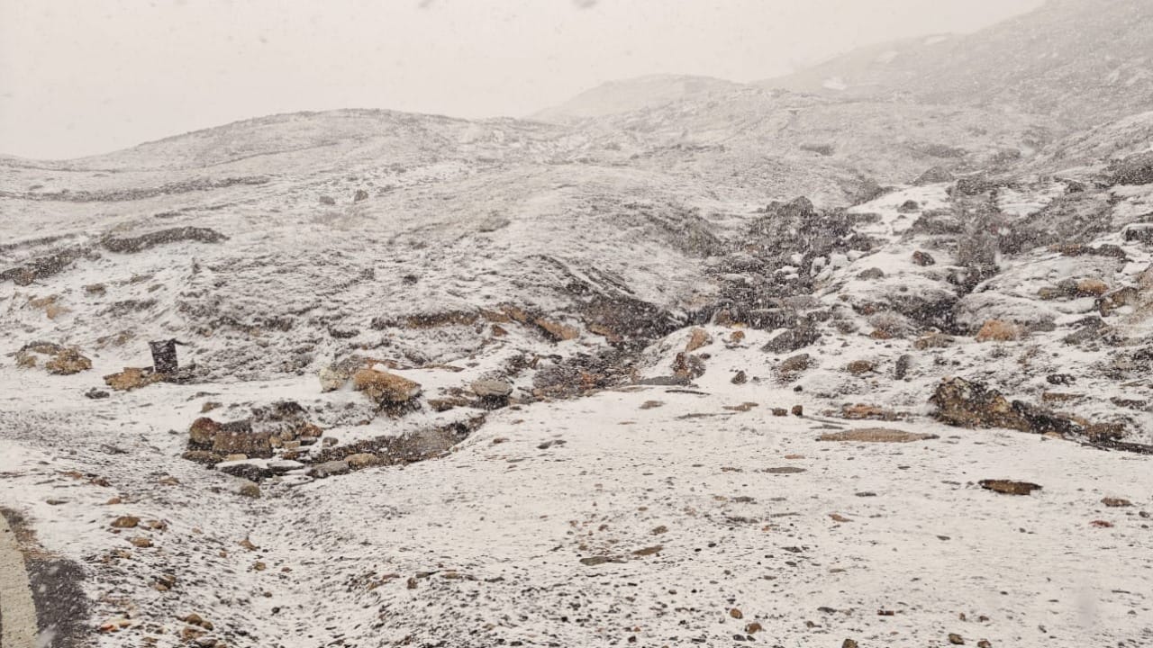 Himachal Weather: Imd Forecast Of Rain And Snowfall In The High Altitude Areas Of State, Fog ...