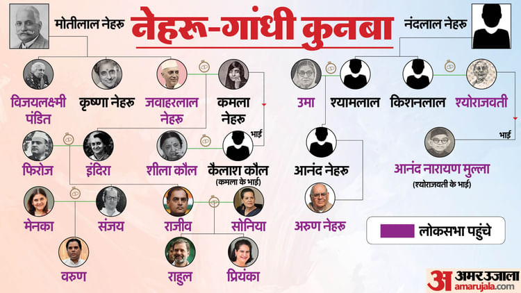 Gandhi Family Tree:लोकसभा में नेहरू-गांधी परिवार की 16वीं सदस्य बनीं ...