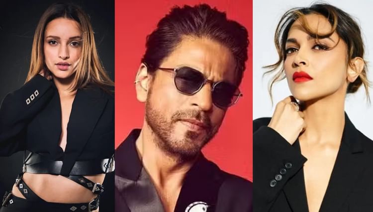 Tripti Dimri Became Most Popular Actor Of India Imdb List Defeated Deepika Padukone Alia Bhatt ...