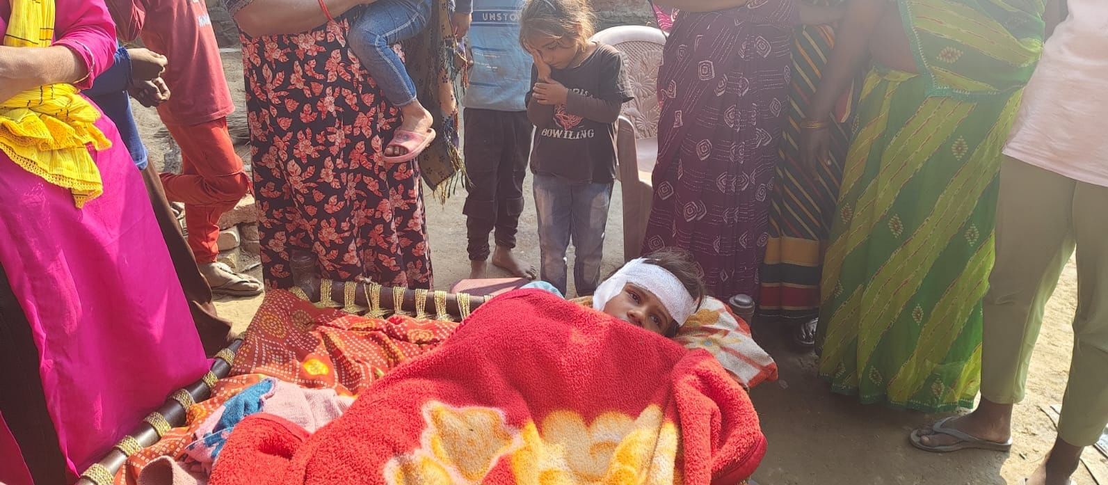 A Leopard Like Animal Attacked On A Girl In Gonda. - Amar Ujala Hindi ...