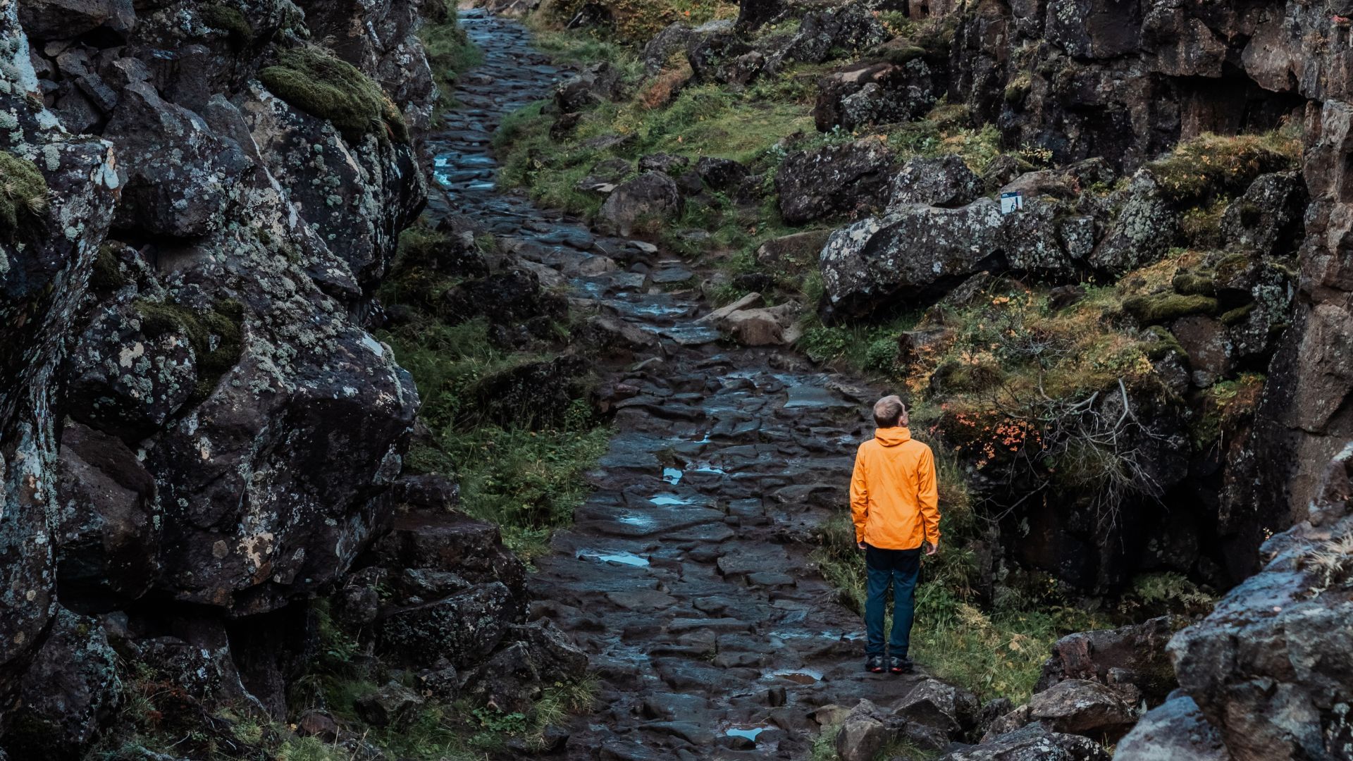 Haunted Island That Brings Misfortune To Its Buyers Read Story Facts In ...