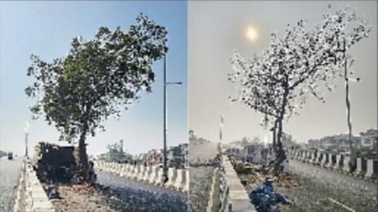 Anand Vihar-apsara Border Flyover Will Be Inaugurated Today - Amar ...