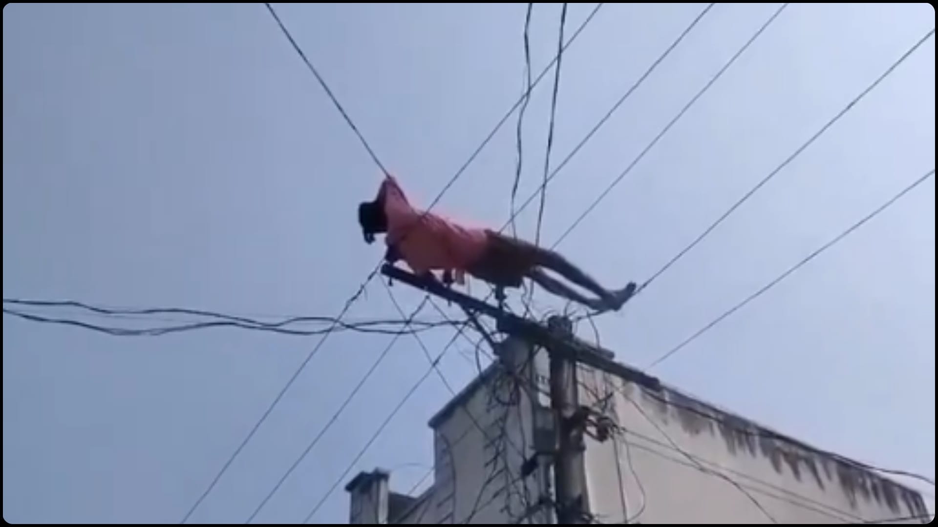 Viral Video:बिजली के खंभे पर चढ़कर तारों पर सो गया शख्स, नीचे चिल्लाते ...