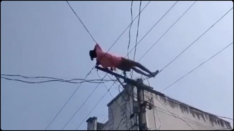Viral Video:बिजली के खंभे पर चढ़कर तारों पर सो गया शख्स, नीचे चिल्लाते ...