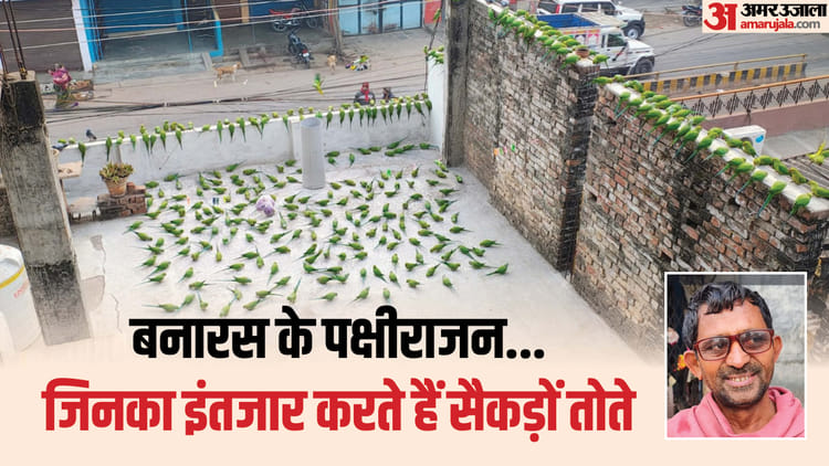 जानें काैन हैं बनारस के पक्षीराजन :जिनका इंतजार करते हैं सैकड़ों तोते ...
