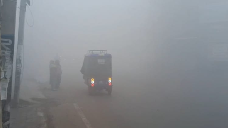 Punjab Weather Forecast Today: Imd Alert Dense Fog And Cold Wave In Punjab Mausam News In Hindi ...
