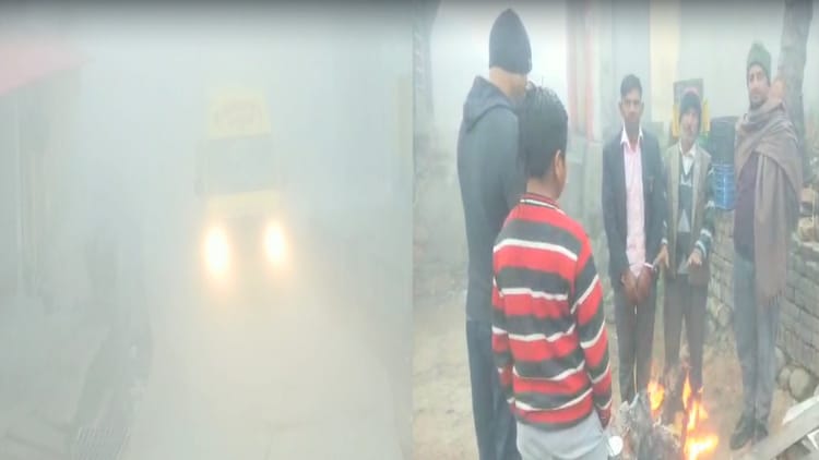 Himachal Weather: Fog And Cold Wave Increased Trouble, Imd Forecast Of Rain And Snowfall - Amar ...