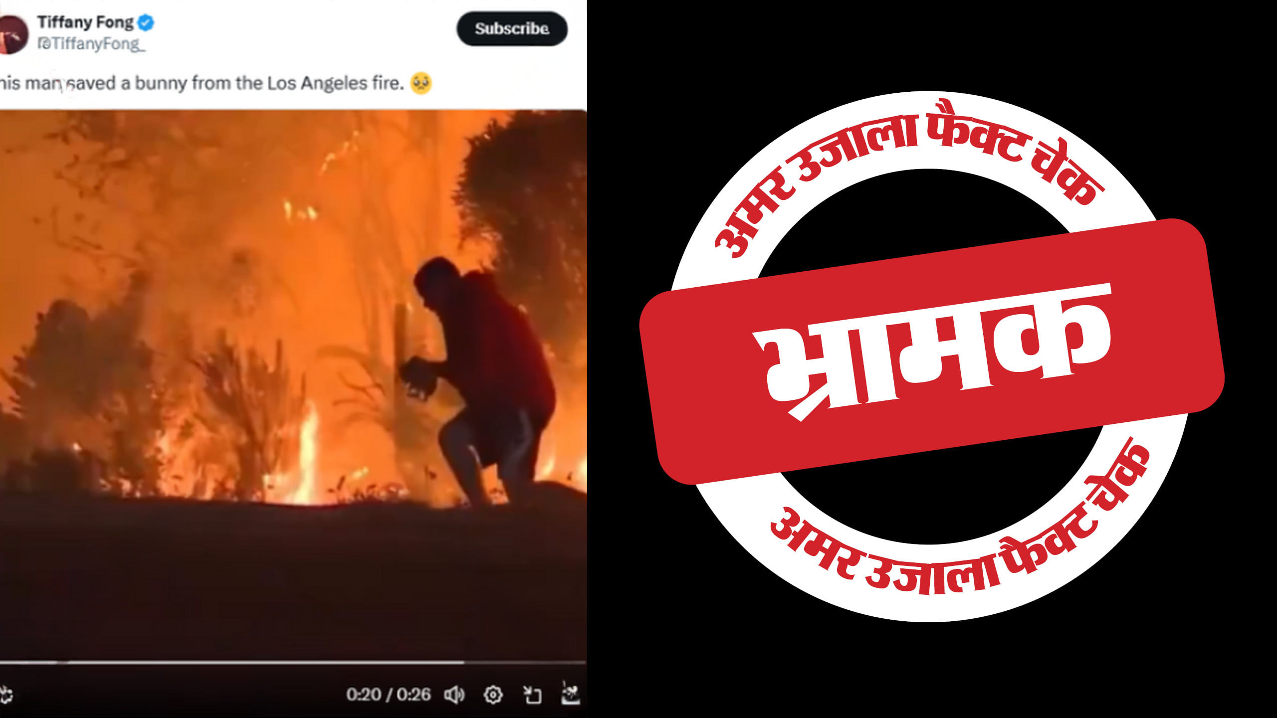 Old Video Of Rabbit Saved From A Fire Falsely Claimed To Be From Los ...