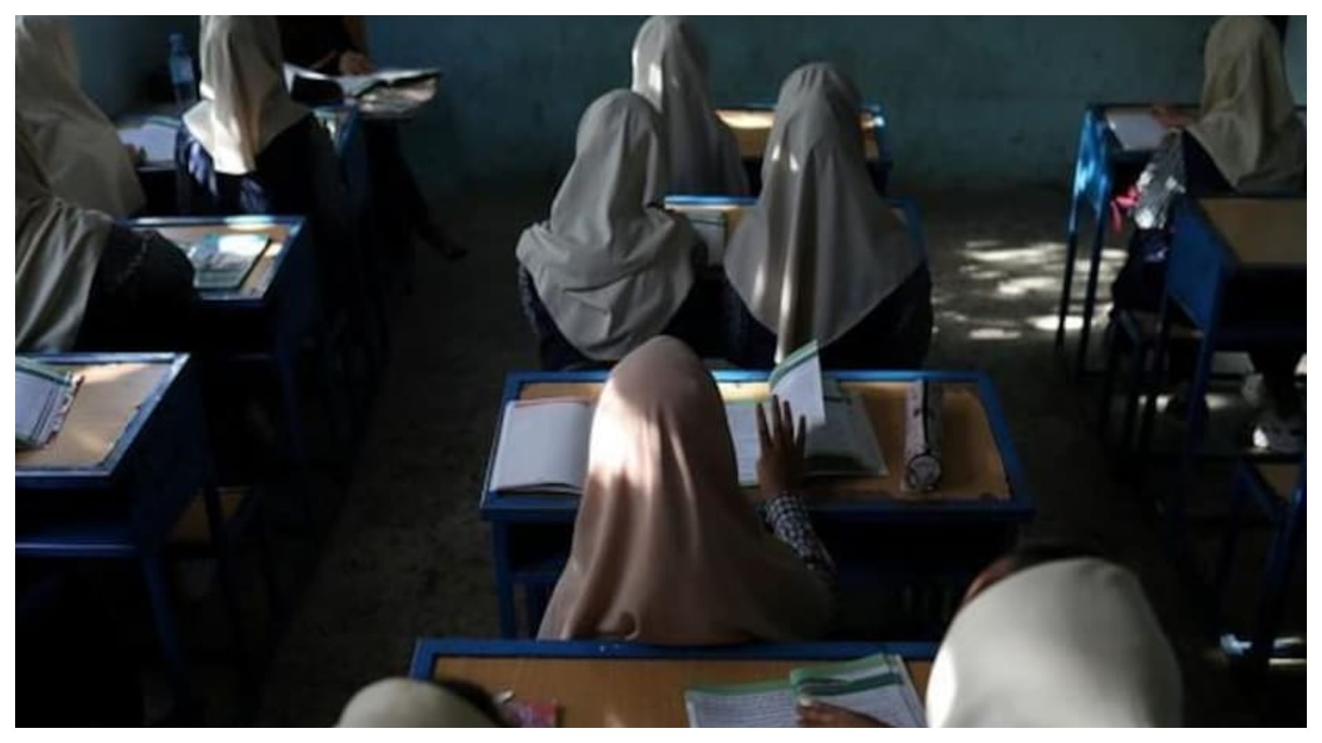 Taliban Top Leader Sher Abbas Stanikzai Appeal Education Rights For ...