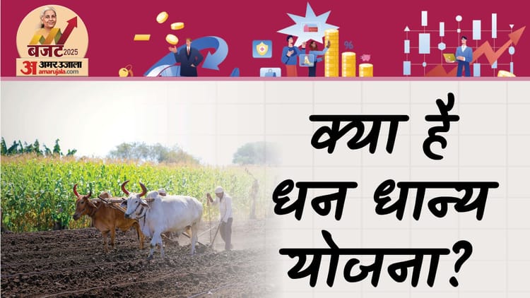 Budget 2025:किसानों के लिए पीएम धन धान्य कृषि योजना का एलान, जानें ...