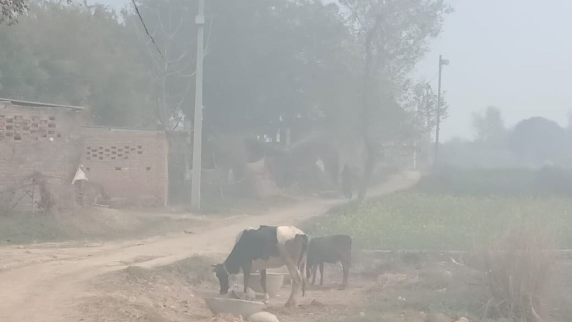 The Fog Scene Became Scary Smoke Rising From Karsada Garbage Plant ...