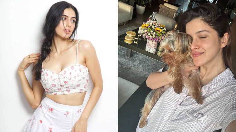 Simar Bhatia To Shanaya Kapoor These Star Kids Will Debut In 2025 By These Films - Amar Ujala ...