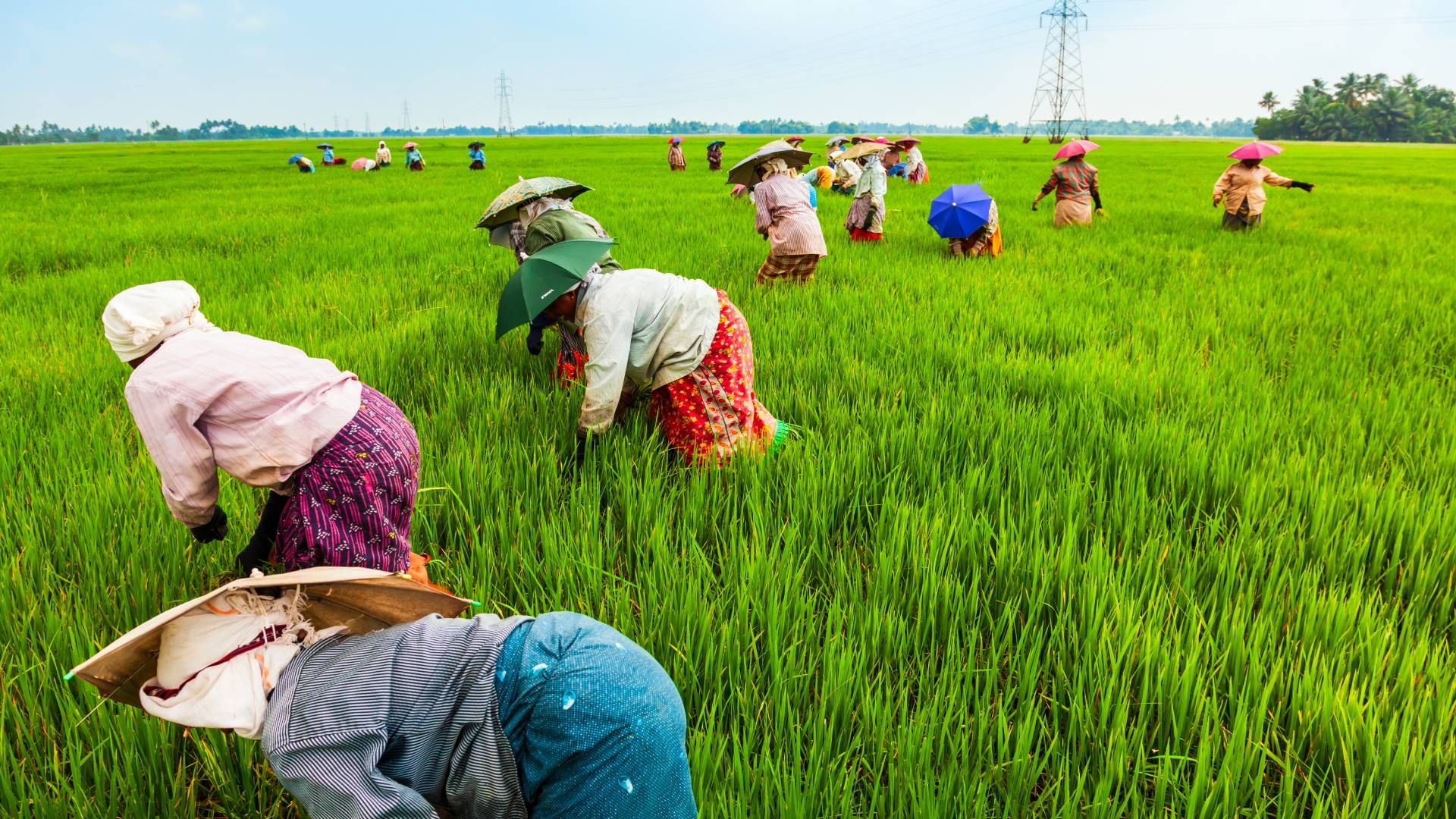 Pm Kisan Samman Nidhi Yojana 20th Kist Avoid Common Mistakes To Secure Installment Payment ...