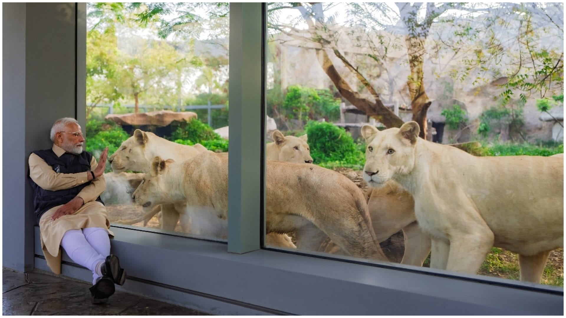 What Is Vantara? Which Was Inaugurated By Prime Minister Narendra Modi ...