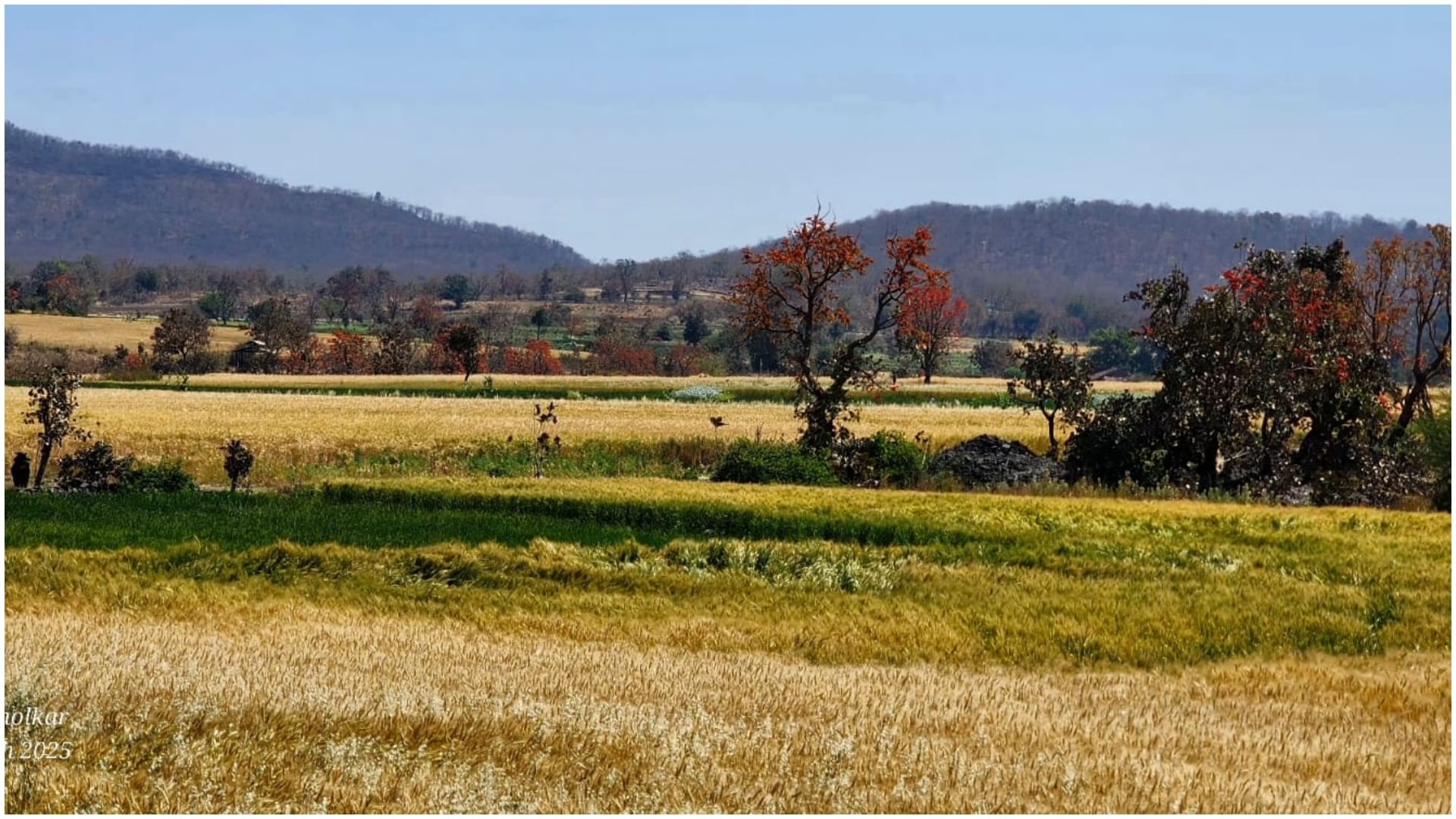 Beautiful Pictures Of Spring Season In India Basant Ritu Images - Amar ...