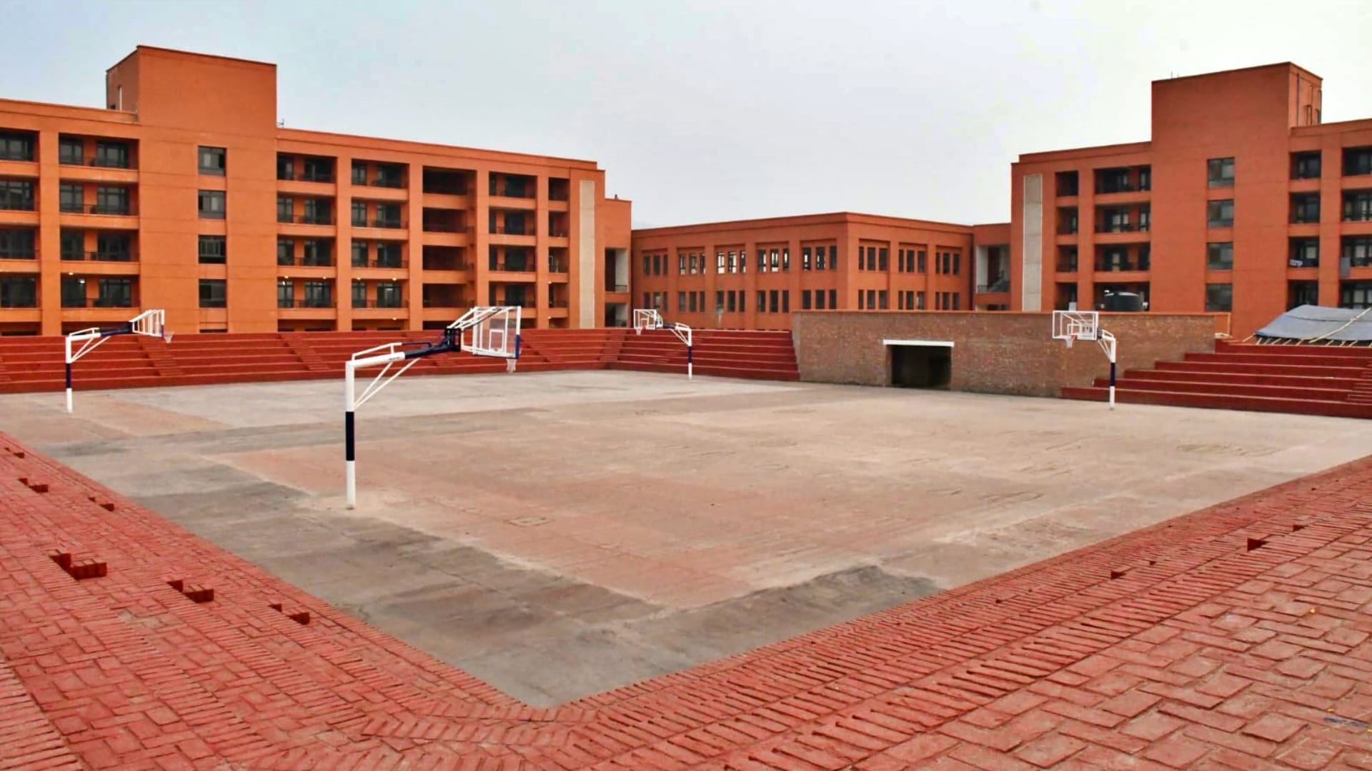 Bihar Sports University:शारीरिक शिक्षा एवं खेल विज्ञान पर हो रहा ...