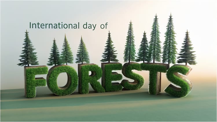 International Day Of Forests:21 मार्च को ही क्यों मनाते हैं ...