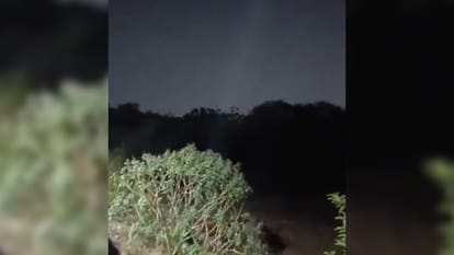 Viral Video:मोर के चिल्लाने का वीडियो हो रहा है वायरल, सुनकर भर आएंगी ...