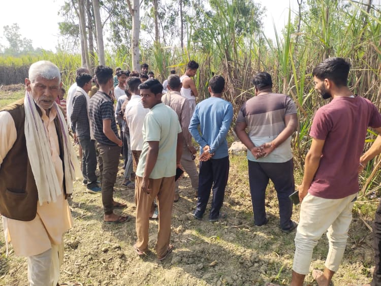 Sitapur:जंगली जानवर ने सांड पर हमला कर मार डाला, ग्रामीणों में दहशत का ...