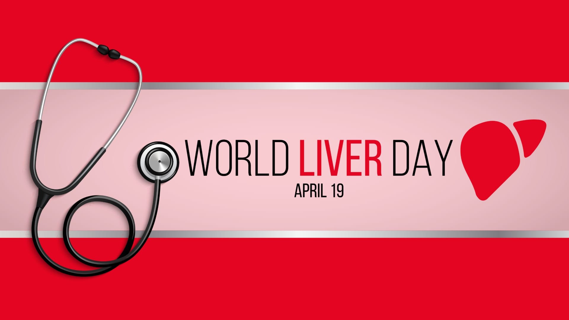 World Liver Day :बढ़ता वजन घटा रहा लिवर की क्षमता, तन हो रहा कमजोर; शोध ...