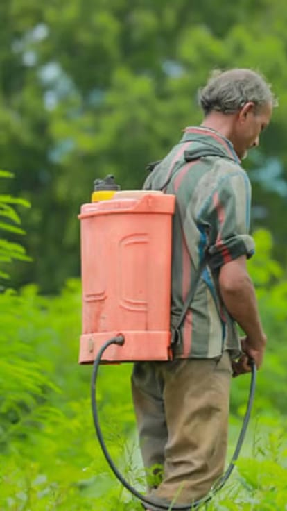 Pm Kisan Installment Date 2021: Latest Photos, Videos, News In Hindi ...