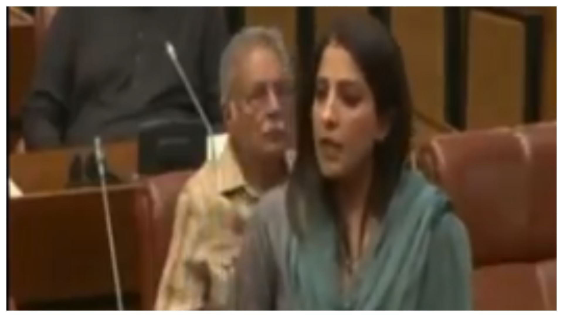 Babri Ayodhya Controversy Who Is Outspoken Pakistani Mp Palwasha Mohammad Zai Khan Know Details ...