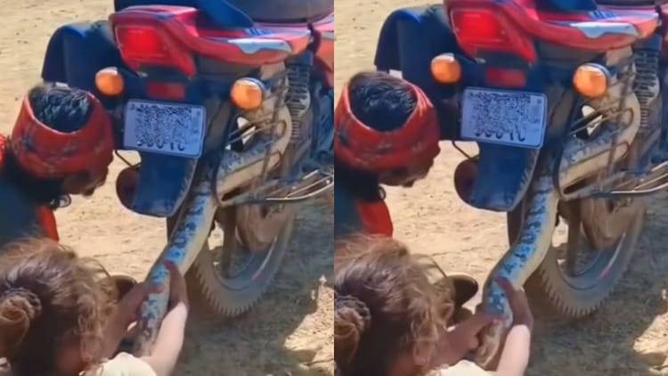 Viral Video:बाइक के अंदर छिपा था विशालकाय अजगर, बैठने से पहले ही देख ...