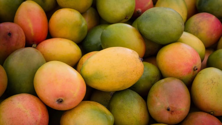How To Check Mango Is Sweet Or Not Know Methods Here - Amar Ujala Hindi ...