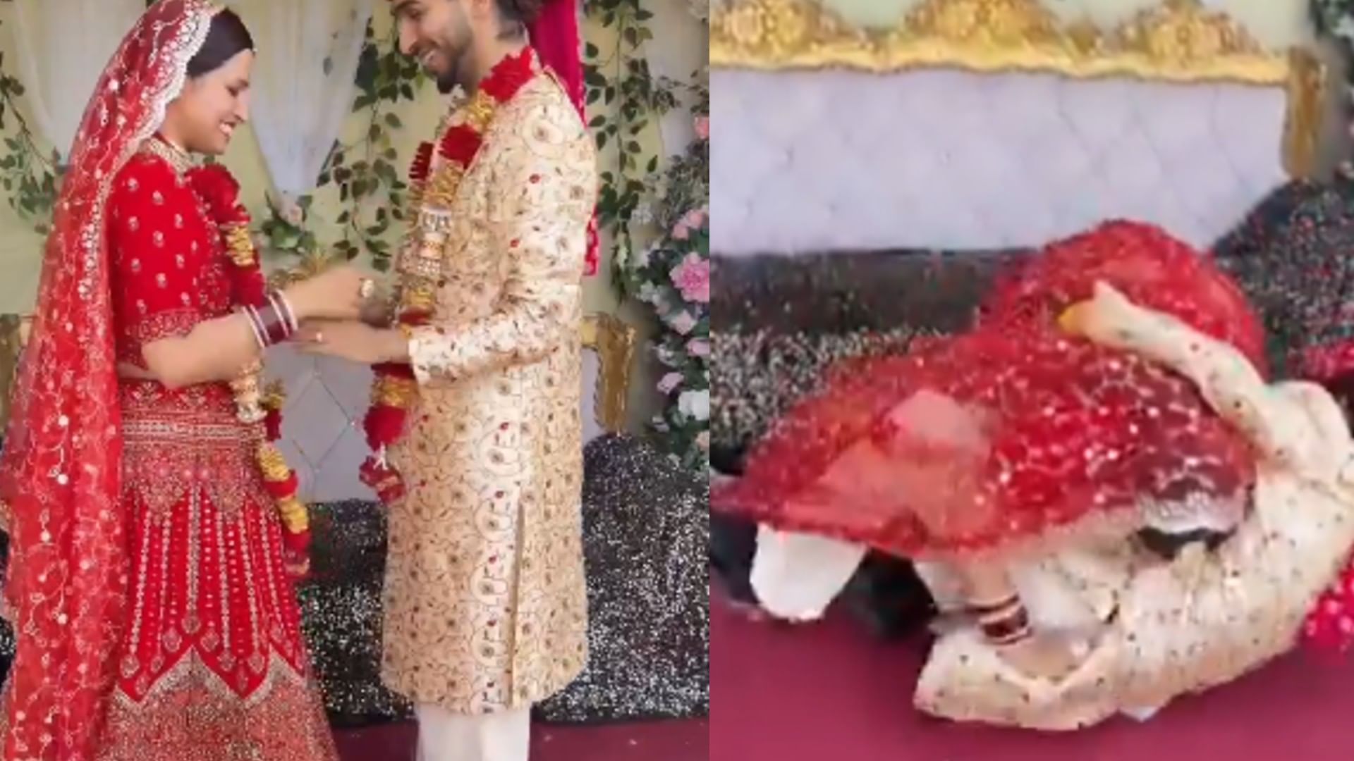 Viral Video Fight Between Bride And Groom Trending Wedding Video - Amar ...
