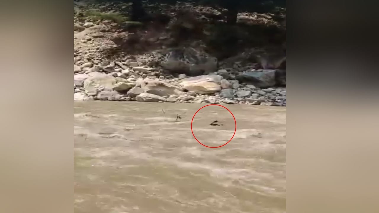 Kullu:बरशैणी बांध से छोड़ा पानी, अचानक जल स्तर बढ़ने पार्वती नदी में बह ...