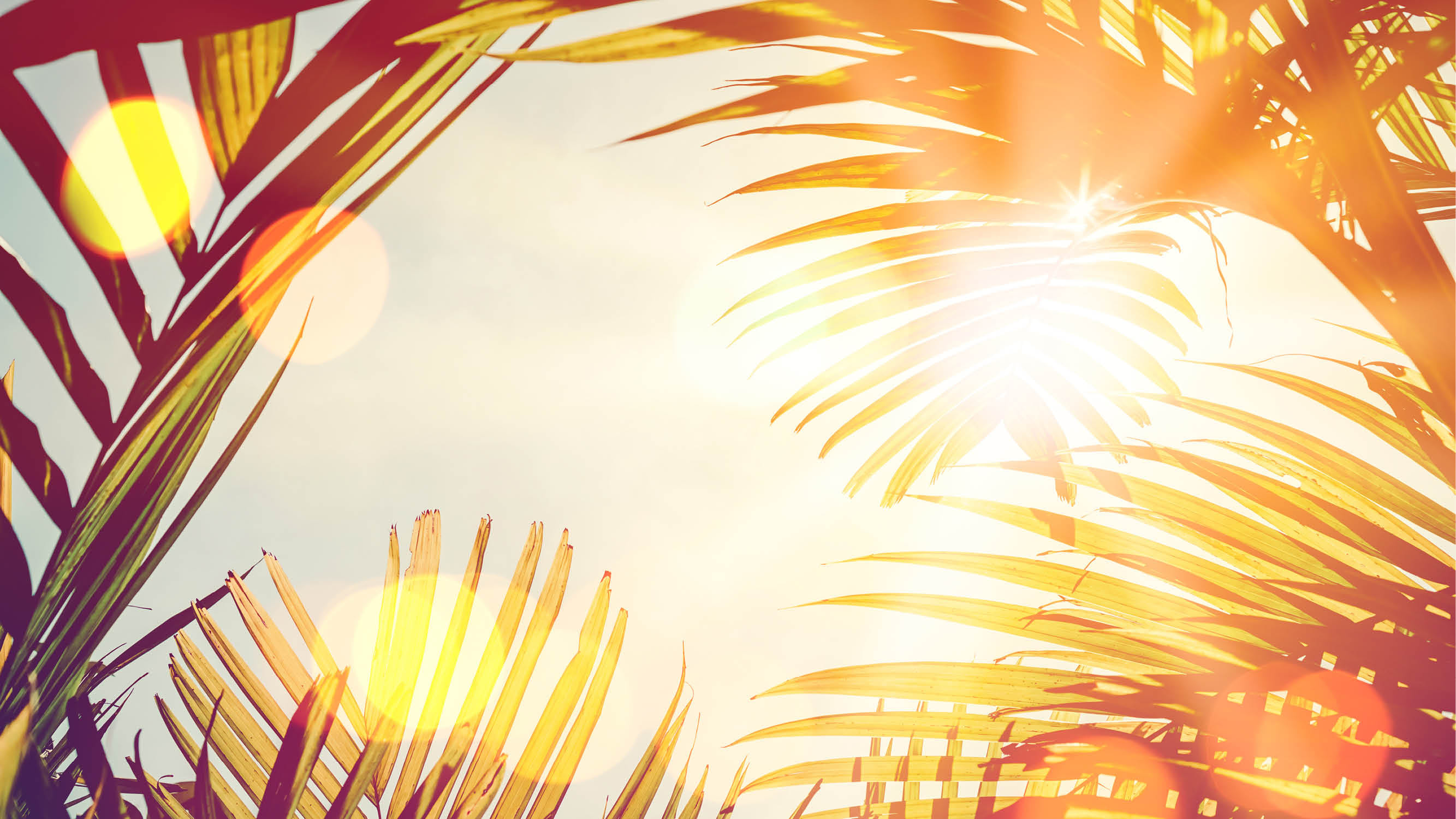 Jaheer Kuraishi Ghazal Kam Karti Hai Garmi Ki Manmani Ko - Amar Ujala ...