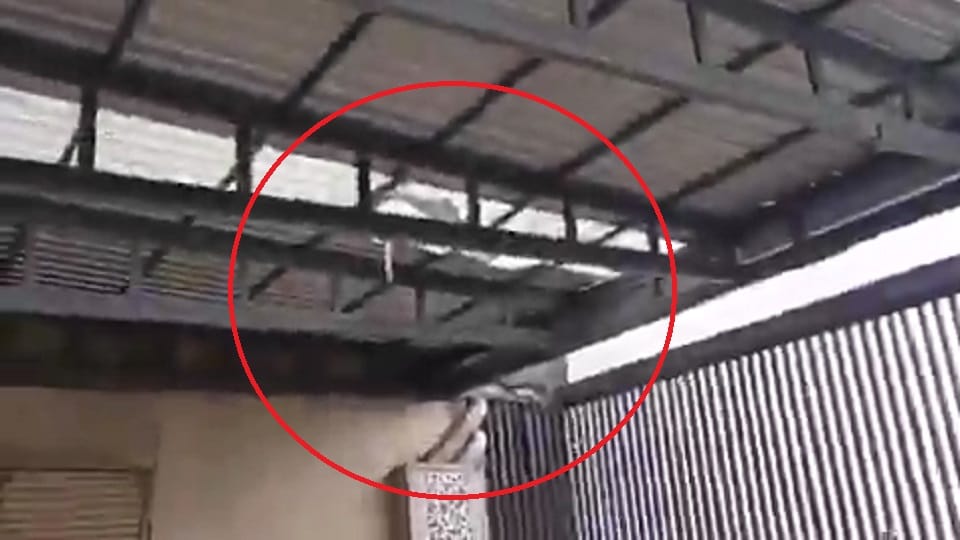 Greater Noida:गौर सिटी सेंटर की 16वीं मंजिल से युवक ने लगाई छलांग ...