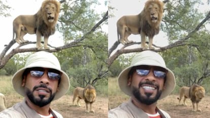 Lion Viral Video:बब्बर शेर के साथ सेल्फी ले रहा था शख्स, फिर जो हुआ उसे ...
