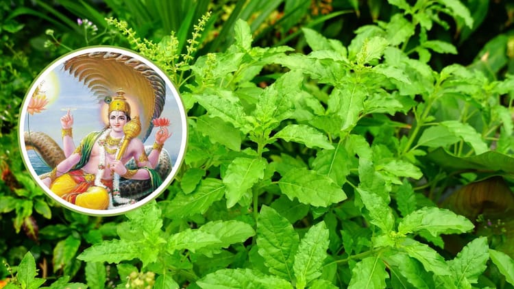 Nirjala Ekadashi 2025:6 जून को रखा जाएगा निर्जला एकादशी का व्रत, इस दिन ...