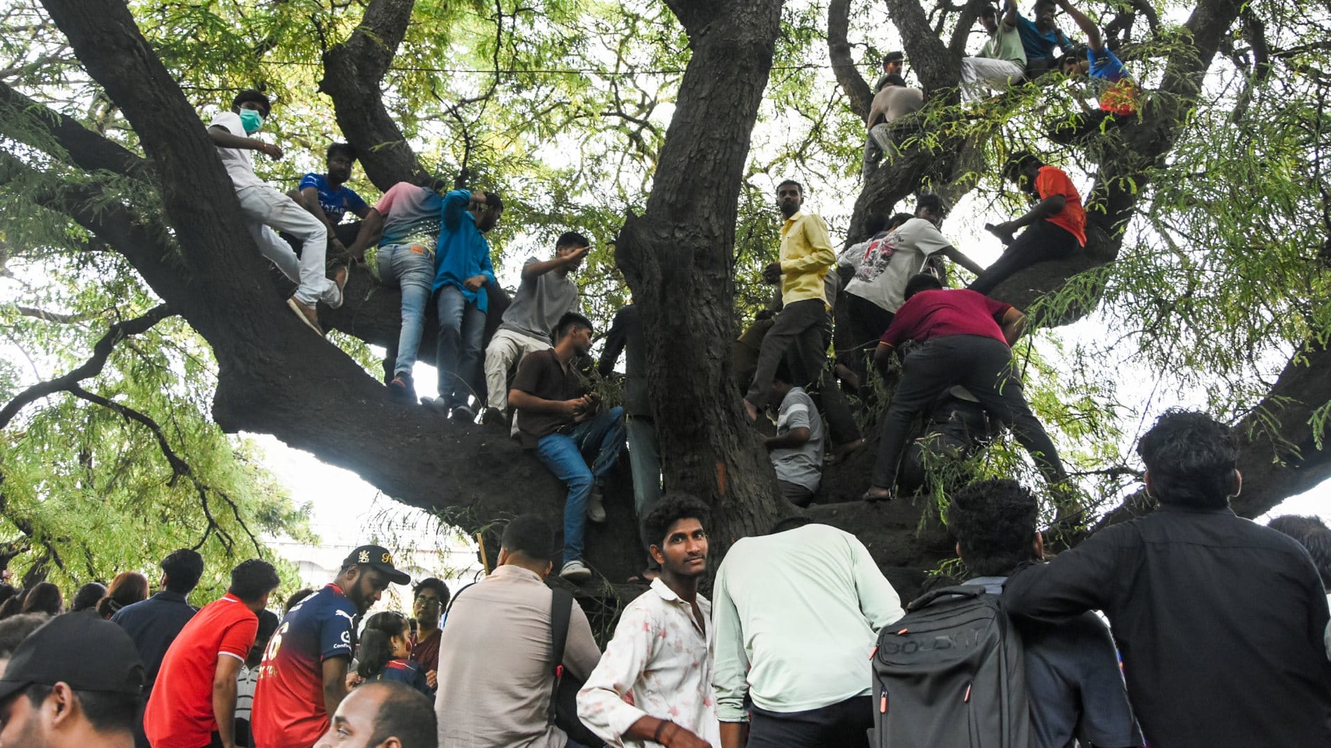 Stampede:मातम में बदला जश्न...बंगलूरू भगदड़ में हुई मौतों पर सचिन ...