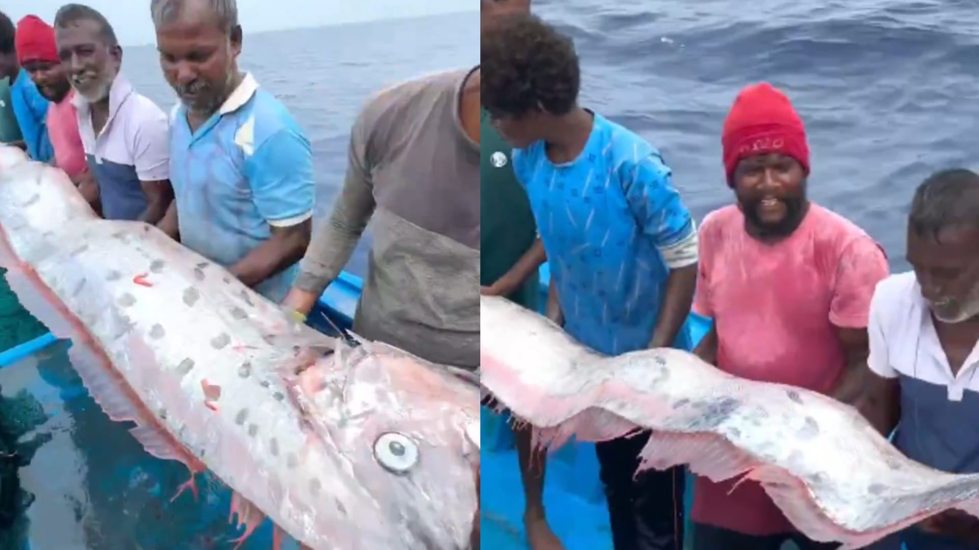 Doomsday Fish Oarfish Caught In The Net In Tamil Nadu India What ...
