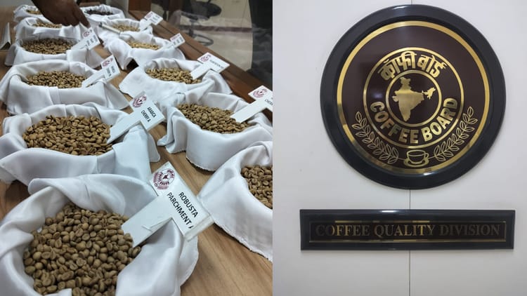 Coffee Board:कॉफी से करें बंपर कमाई, कैफे खोलने के लिए करें ये कोर्स ...