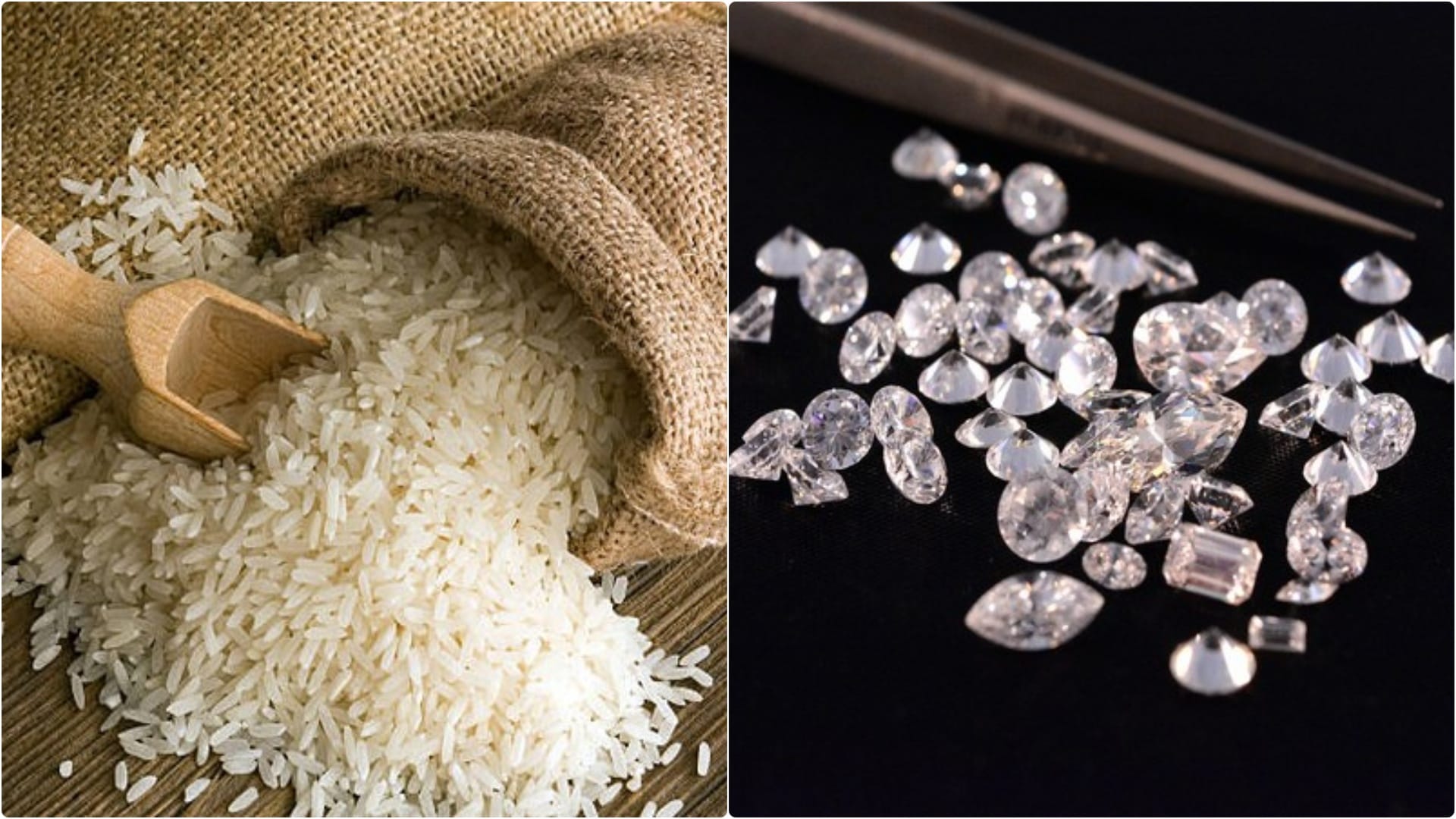 Middle East Unrest To Significantly Impact Indian Basmati Rice ...