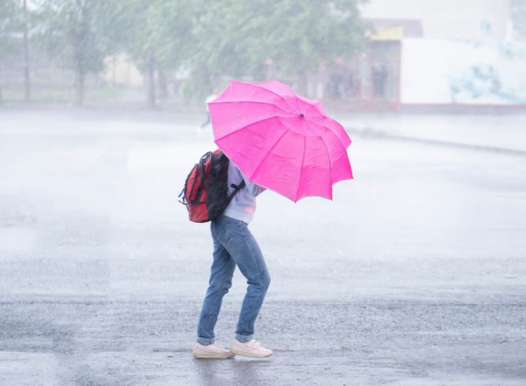 Up Weather Forecast Today: Imd Alert For Heavy Rain In 53 Districts ...