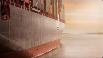 India's Strict Measures Have Led To A Ban On Cargo Ships Carrying ...
