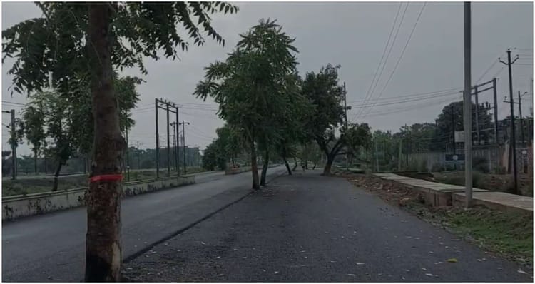 Trees On The Road Invite Accidents, People's Lives In Danger - Amar ...