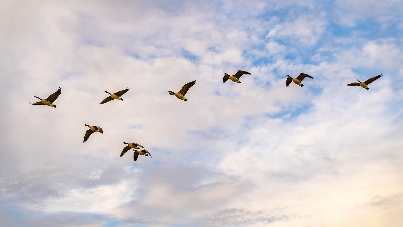 Ramdhari Singh Dinkar Poetry Ye Bhagwan Ke Dakie Hain - Amar Ujala Kavya - ये भगवान के डाकिये ...