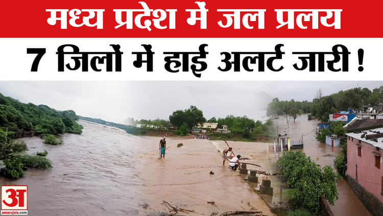 Mp Flood News:मध्य प्रदेश में भीषण बारिश से त्राहिमाम, कई जिलों के लिए ...