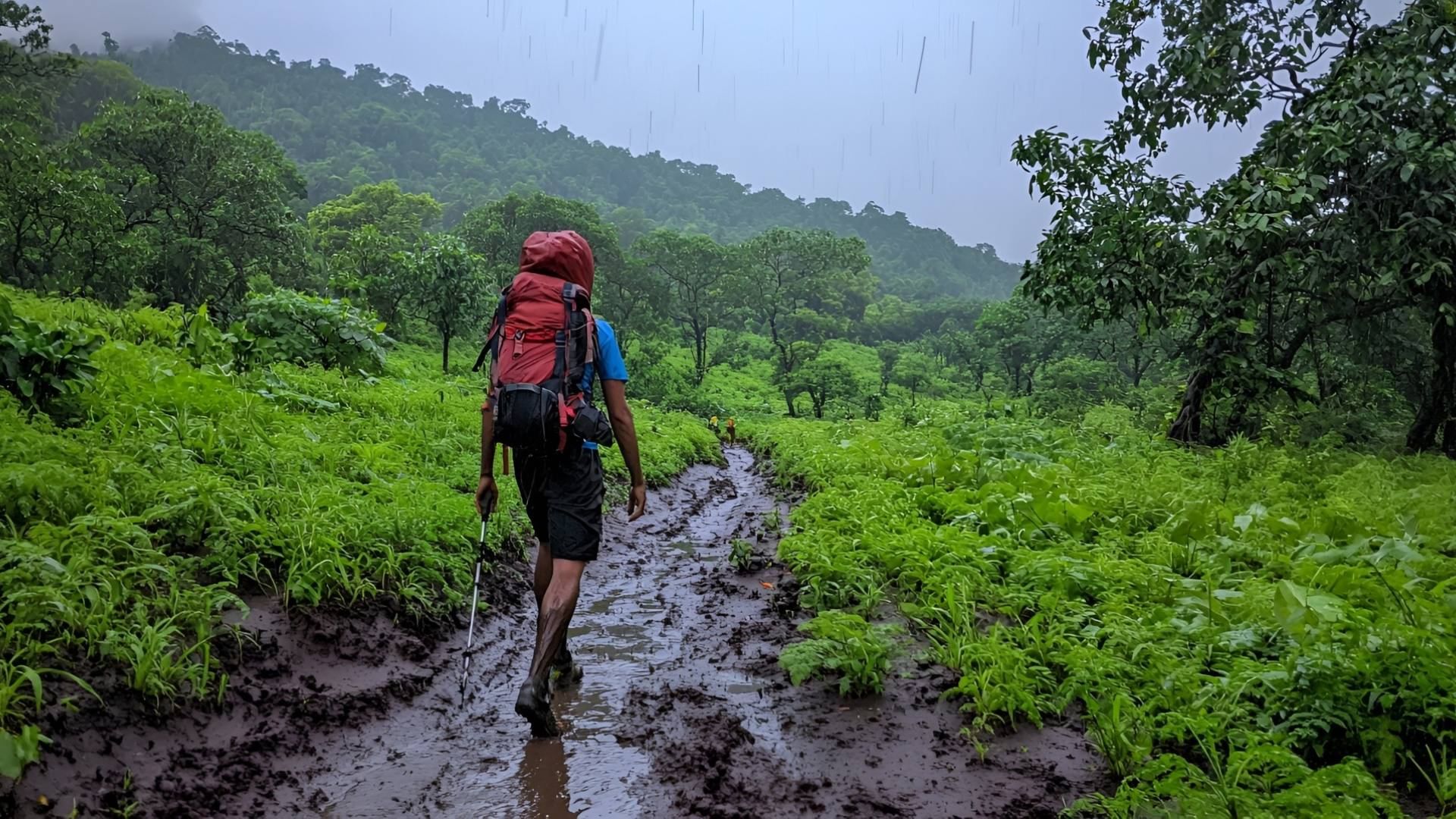 Trekking During Rainy Season Must Follow These Monsoon Trekking Safety Tips - Amar Ujala Hindi ...