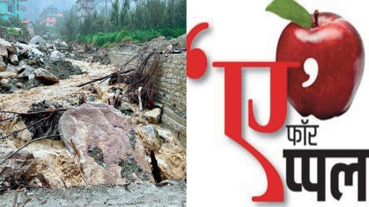 Hp Apple Season:बगीचों में तुड़ान शुरू, सड़कें अवरुद्ध, ऐसे में मंडियों ...