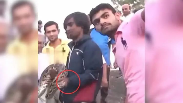 Python Attacks Man During Selfie Attempt Video Goes Viral - Amar Ujala ...
