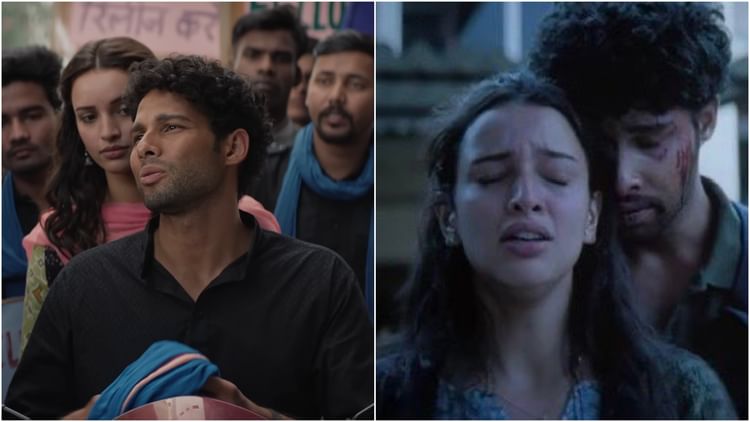 Dhadak 2 Vs Son Of Sardaar 2 Box Office Collection Siddhant Chaturvedi ...