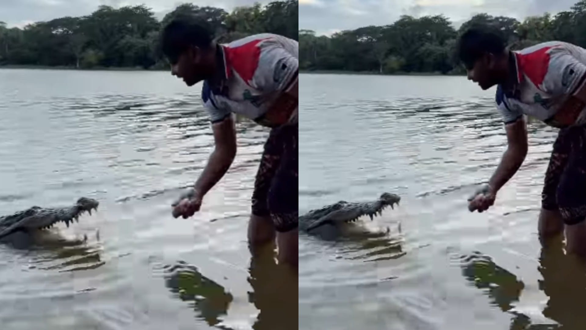 Viral Video:नदी में मगरमच्छ को मांस खिला रहा था शख्स और फिर..., वीडियो ...