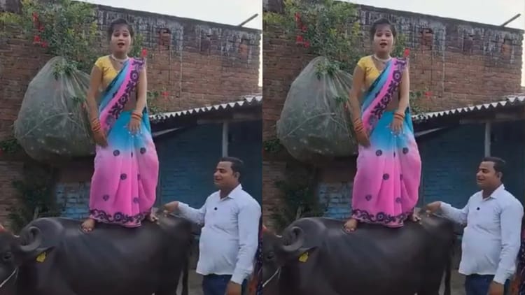 Viral Video:भैंस की पीठ पर चढ़कर डांस करते हुए रील बनाती दिखी लड़की ...