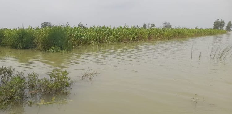 Moradabad:गागन नदी में नहाते समय दो किशोरों की डूबने से मौत, दोनों के ...